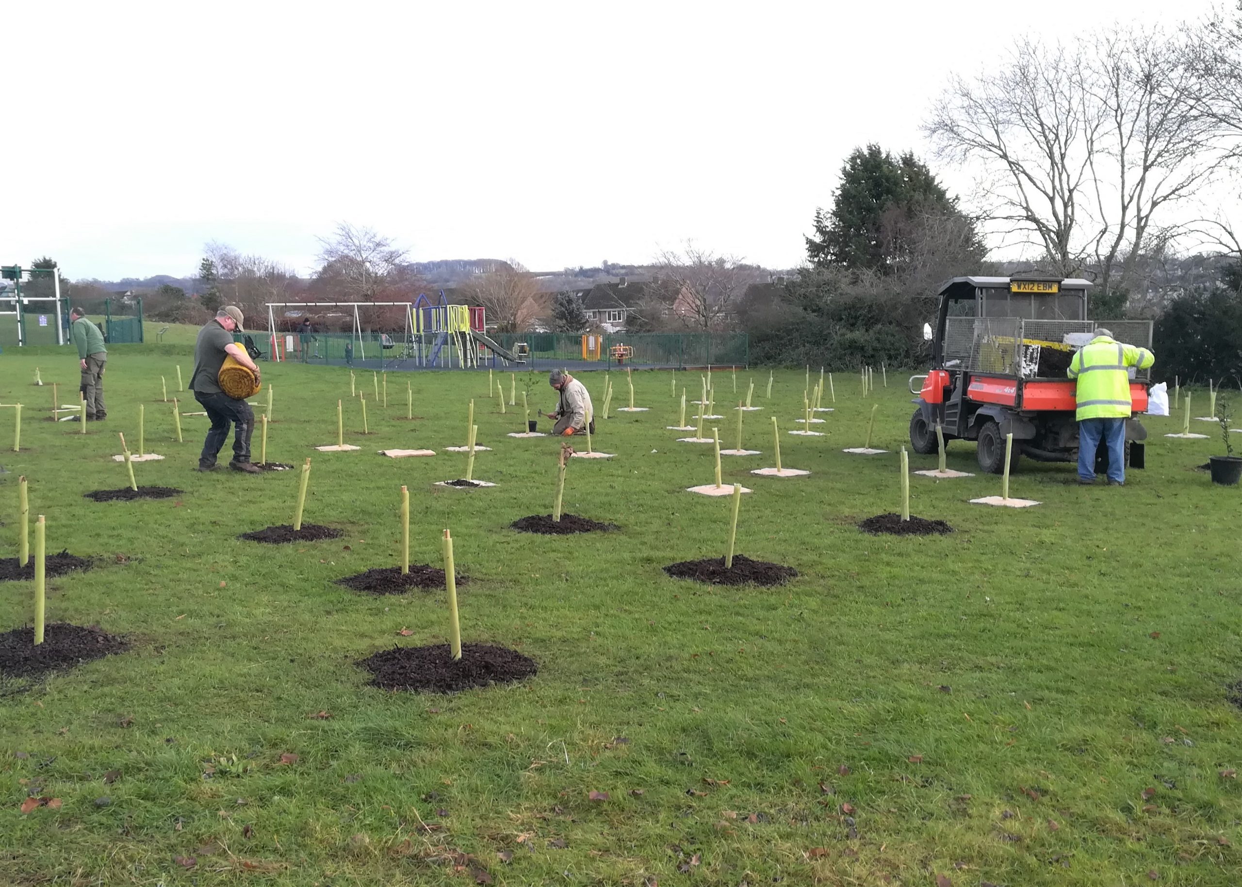 CPRE tree funding awarded to Stroud Town Council - CPRE Gloucestershire